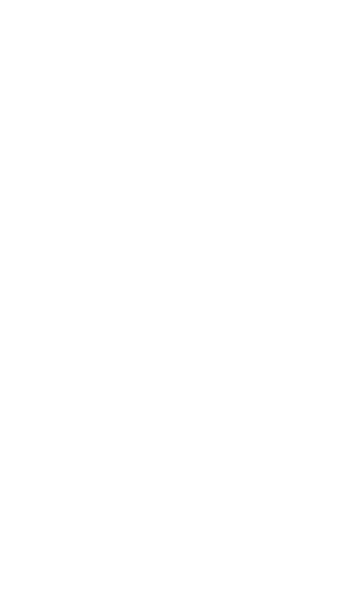 Swoosh Reception Desk - Hugo & Hoby